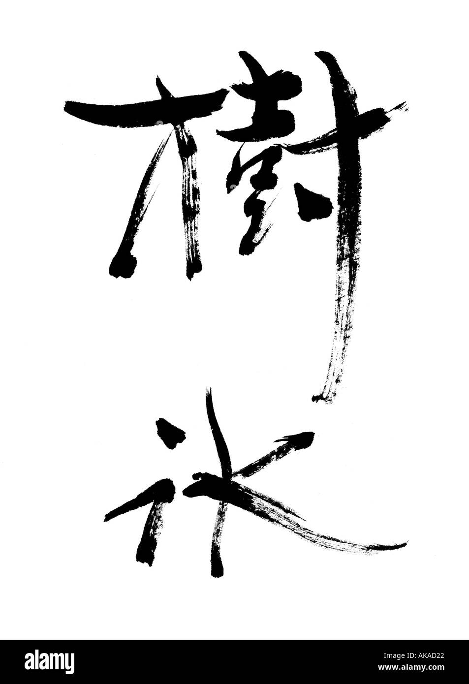 Jyuhyo hi-res stock photography and images - Alamy