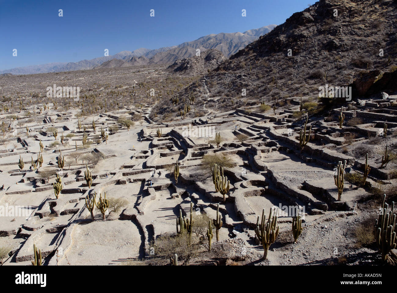 The pre-Inca ruins at Quilmes Stock Photo - Alamy