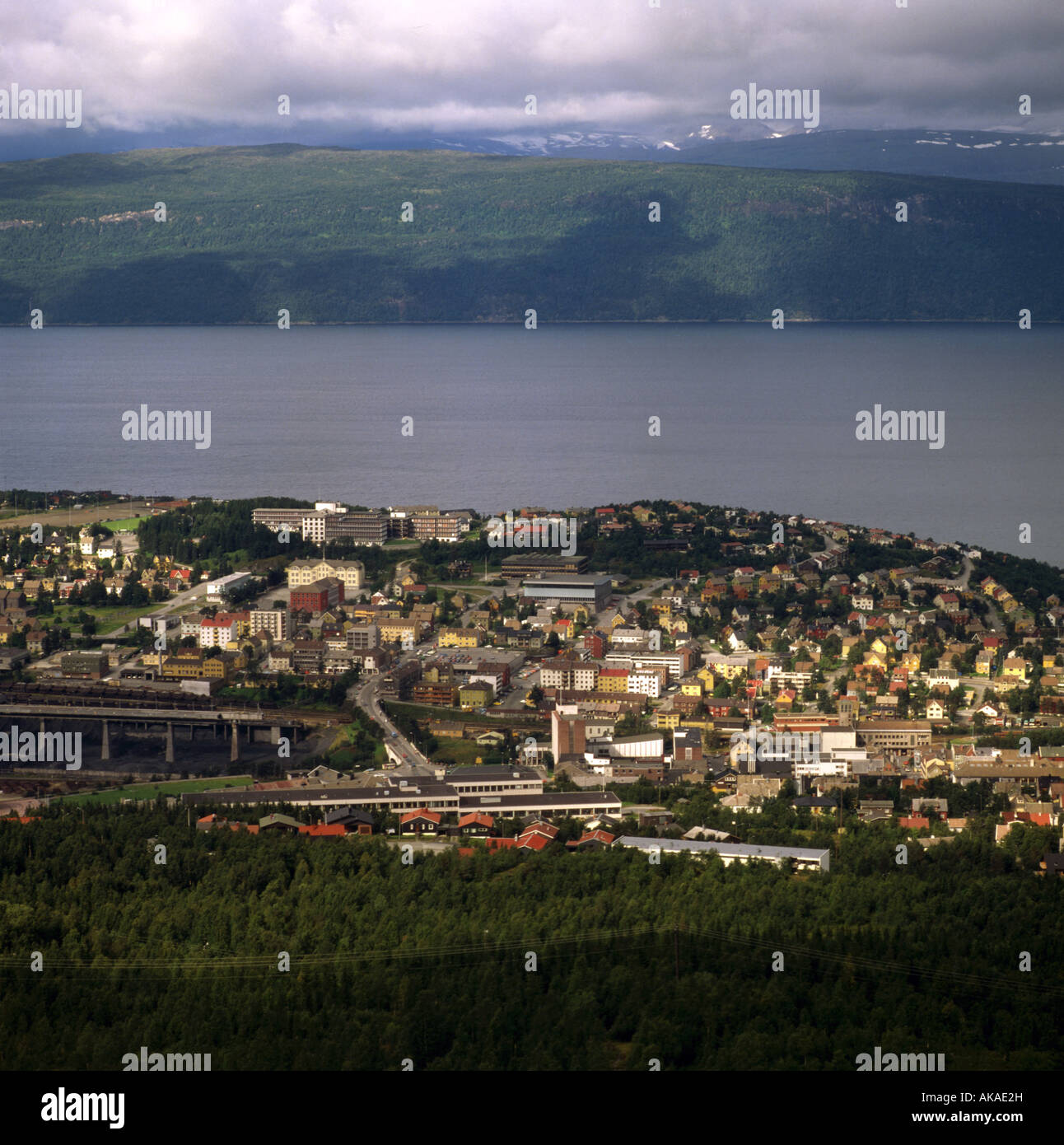 Norway narvik forest hi-res stock photography and images - Alamy