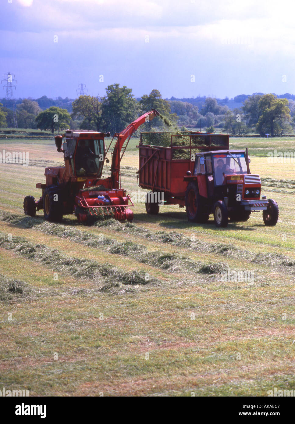 Cutting Soilage Geldeston Norfolk England Stock Photo - Alamy