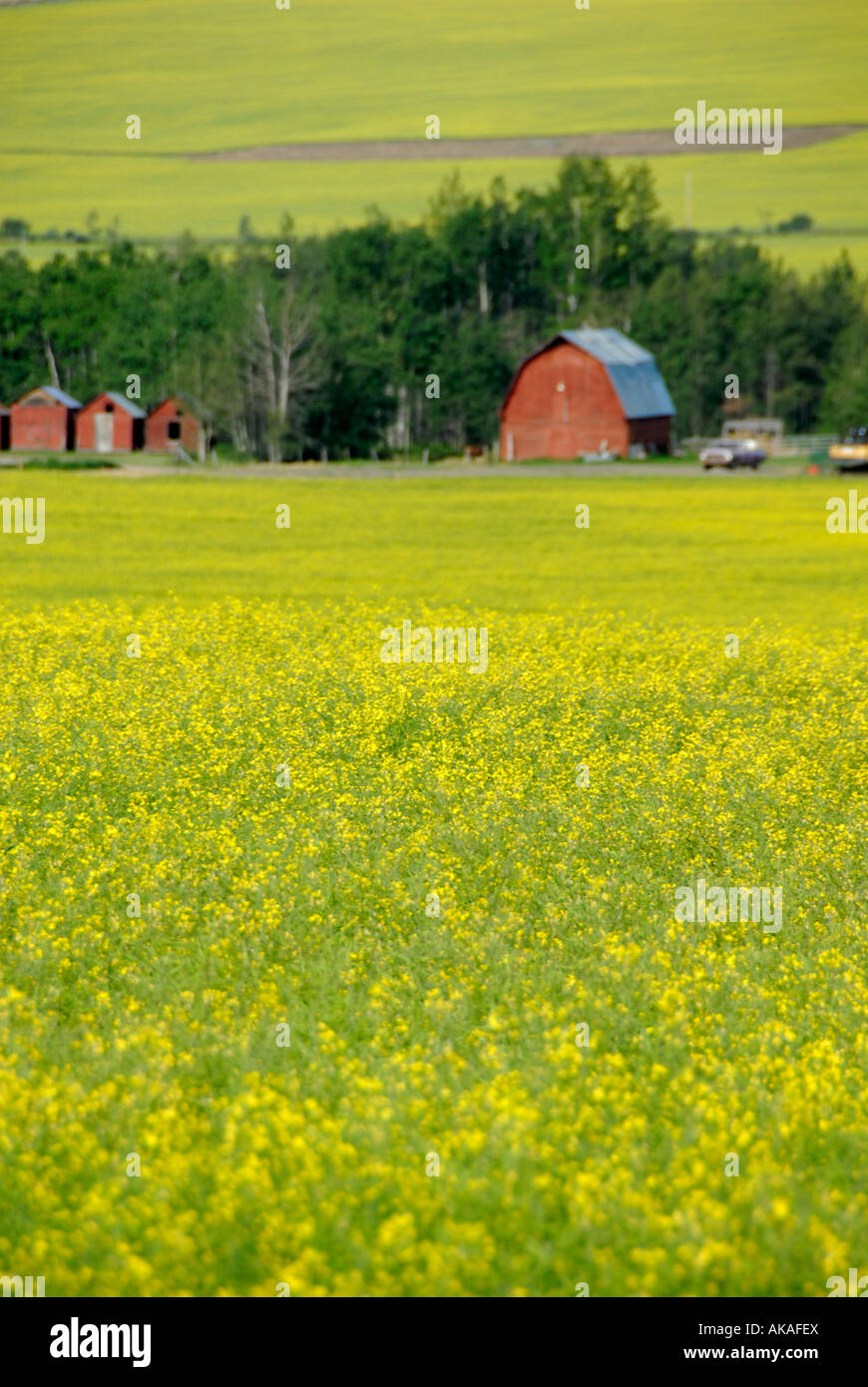 Al can highway hi-res stock photography and images - Alamy