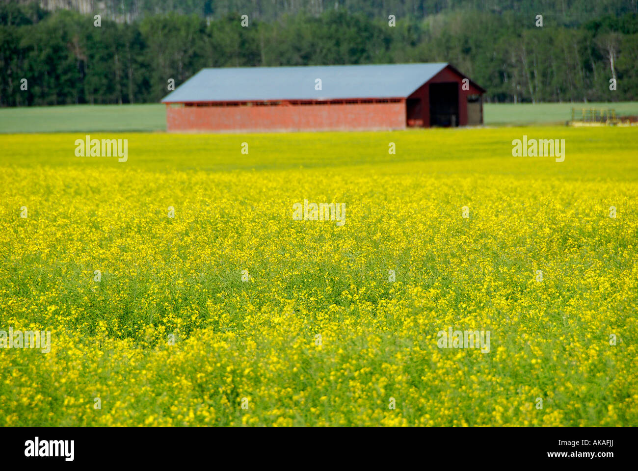 Al can highway hi-res stock photography and images - Alamy