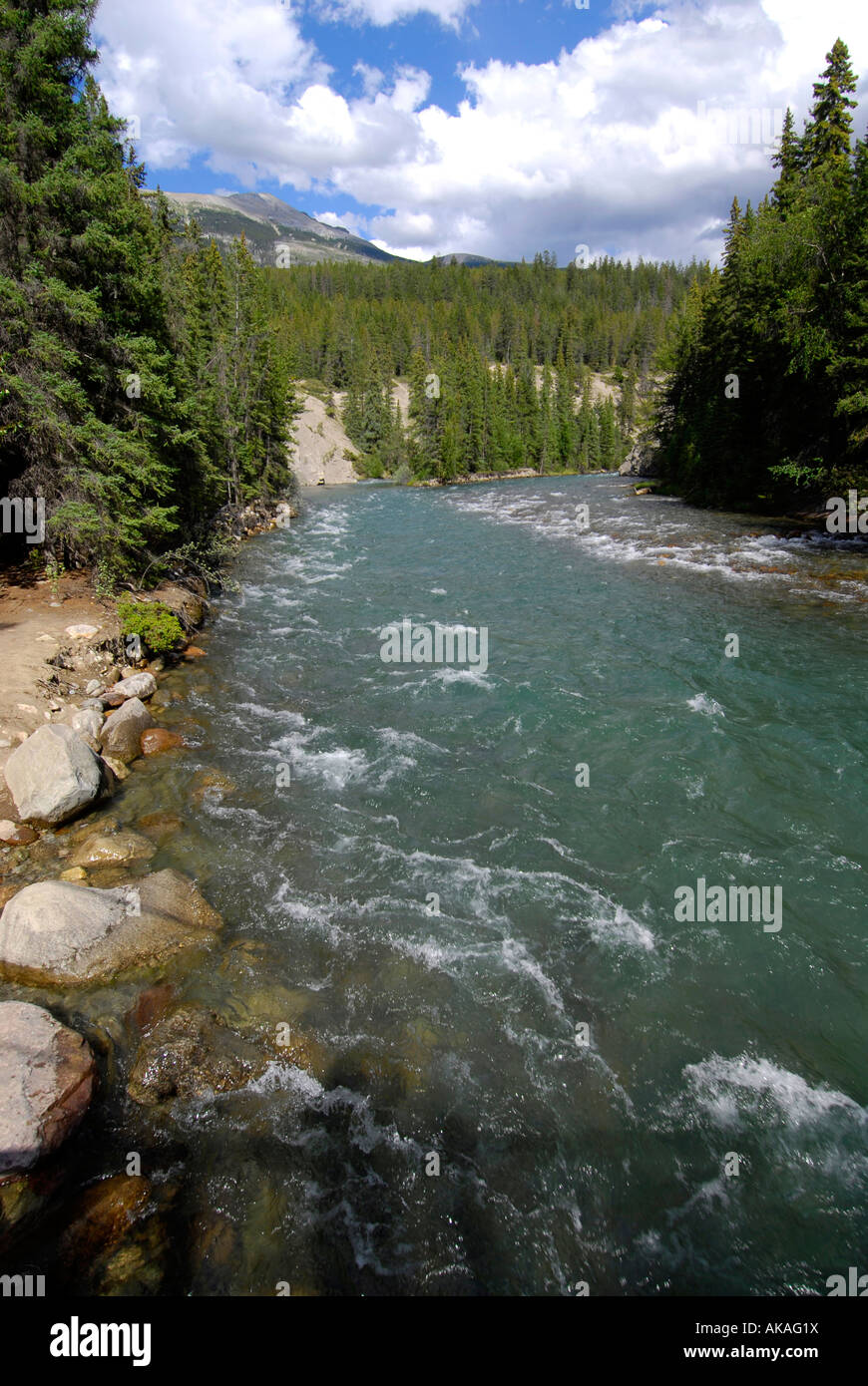 Maligne River near Maligne Canyon Jasper National Park Alberta Canada ...