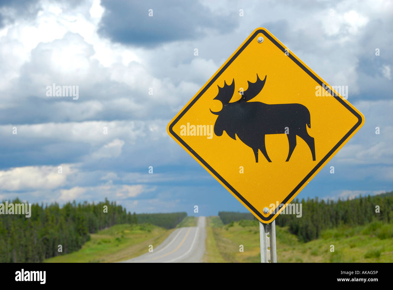 Wildlife Moose Warning Danger Sign on Alaska Highway ALCAn Al Can ...