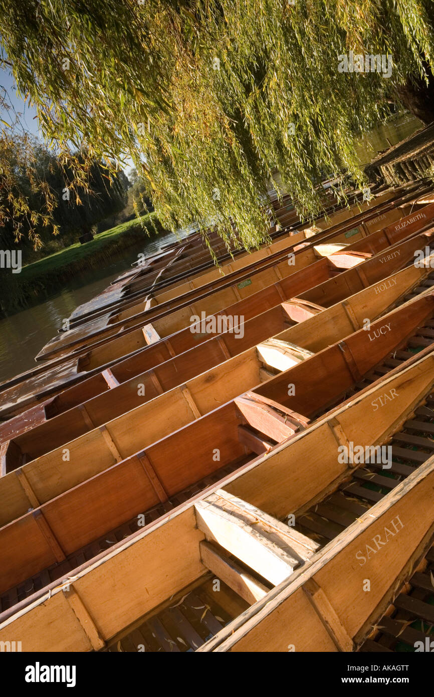 Cambridge punt quirky hi-res stock photography and images - Alamy