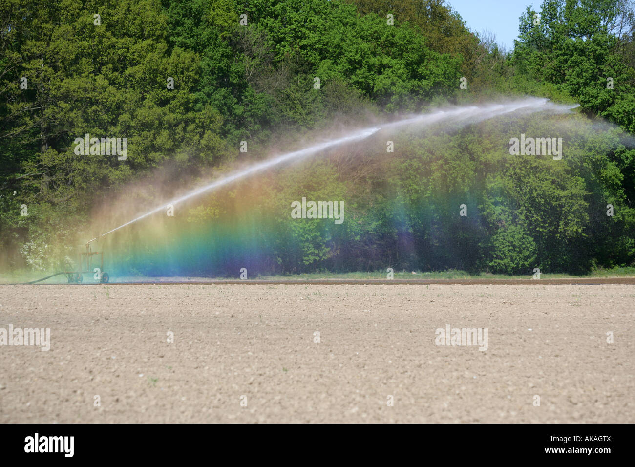 Irrigation sprinkler with rainbow on a summer field Stock Photo - Alamy