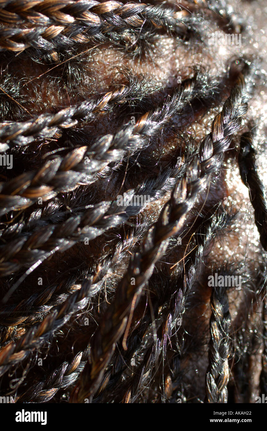 Plaits braids close up black hi-res stock photography and images - Alamy