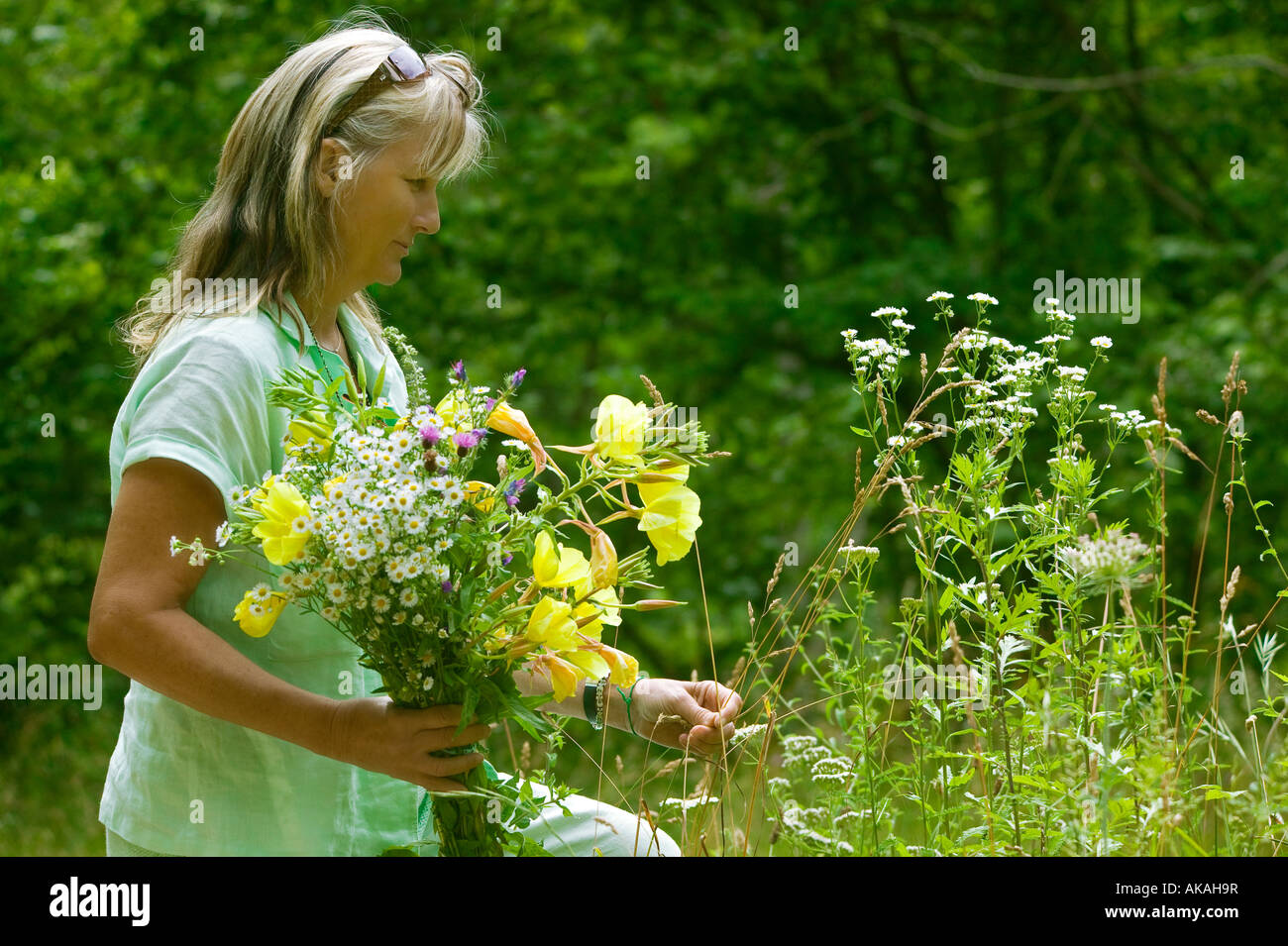 Women collect flowers hi-res stock photography and images - Alamy