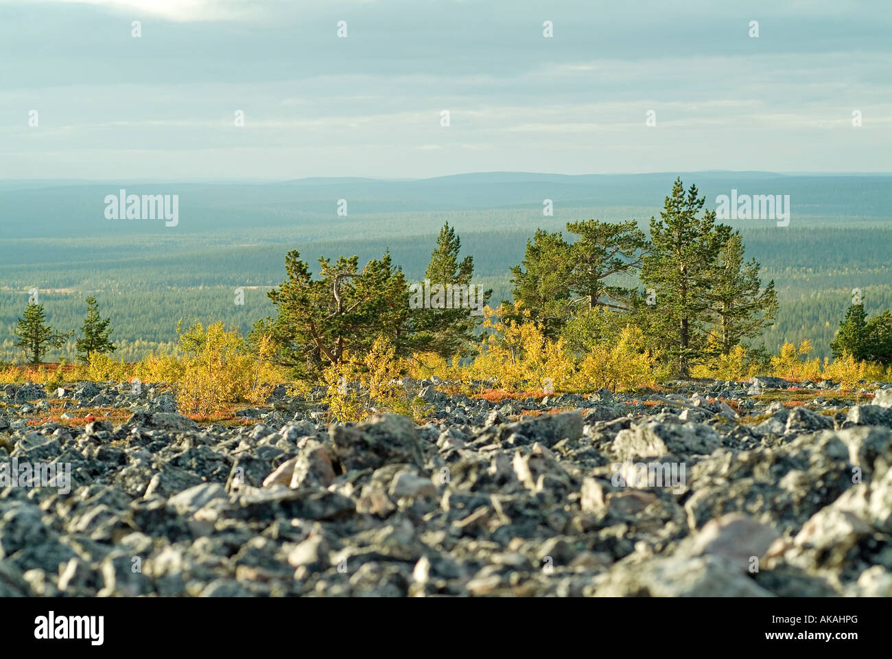 landscape with stony fell mountain in autumn colours in Lapland in ...