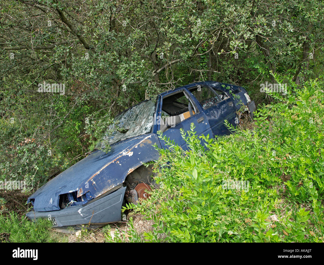 old rusty wrack of a car hidden in bush in the nature Stock Photo - Alamy