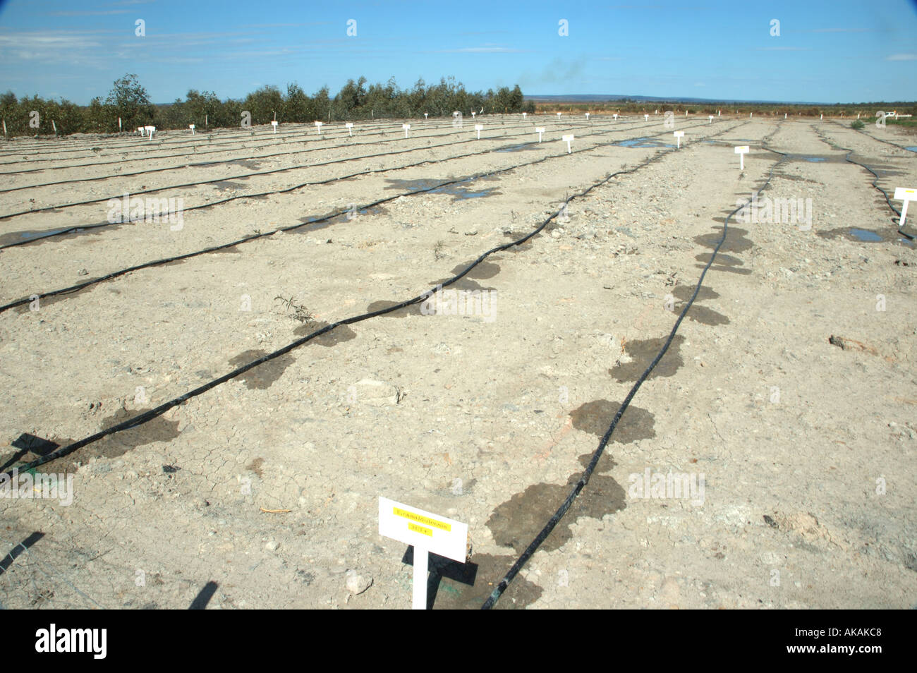 Mining land restoration after open cut coal mine Queensland Australia ...