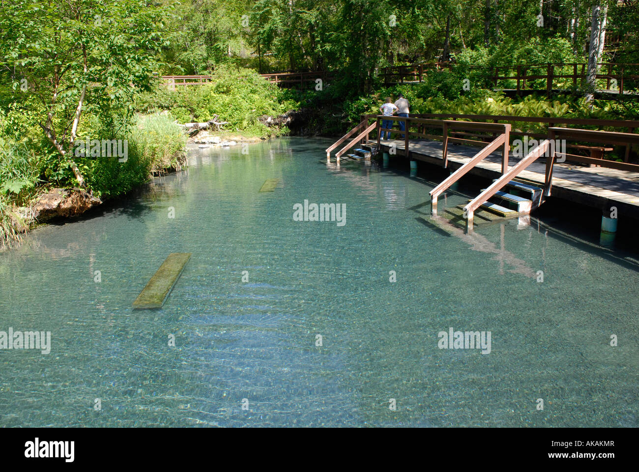 Hotsprings Pool Recuperative Refreshing Healthy Liard River Hotsprings ...