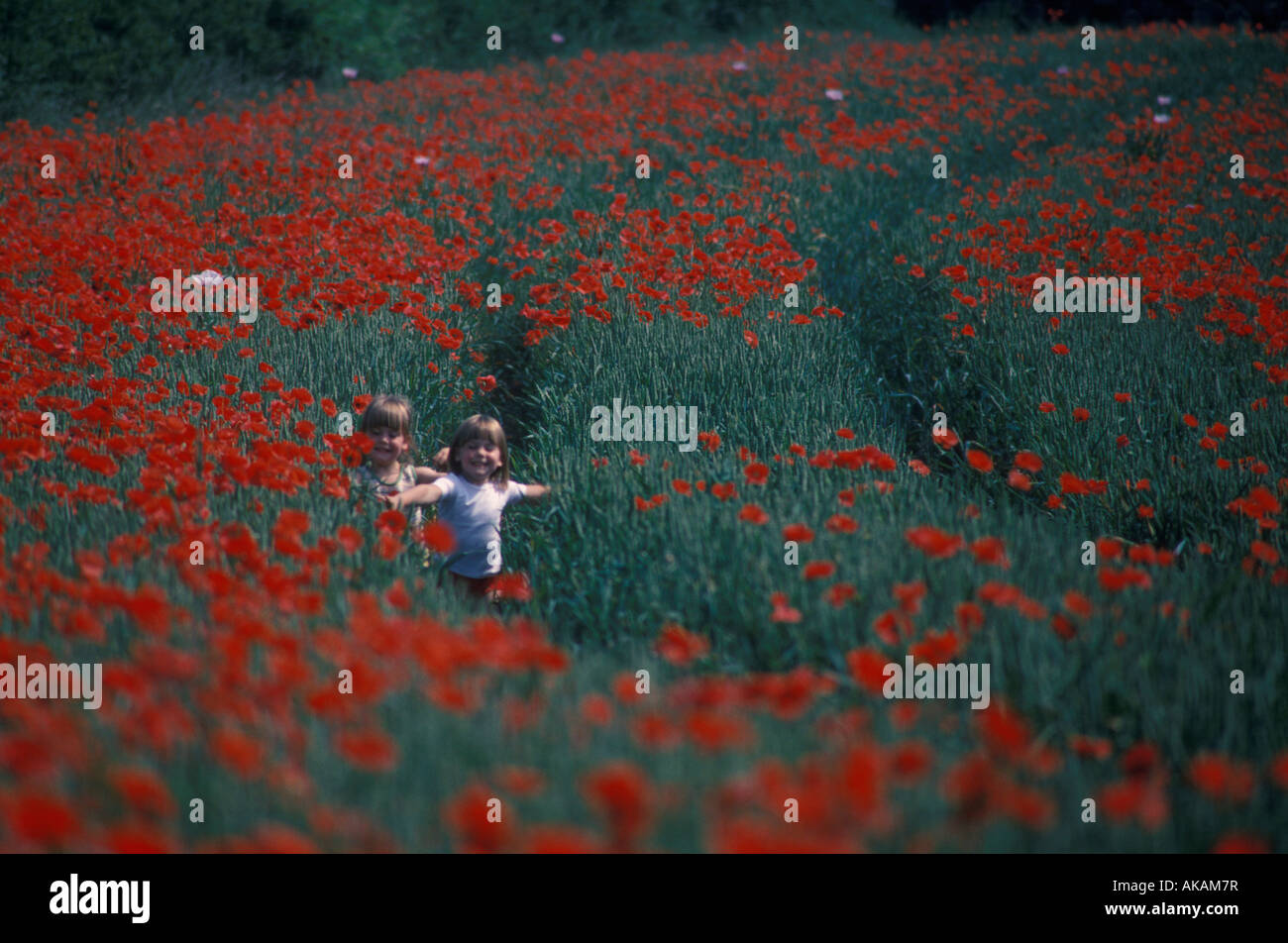 children running in a poppy field Stock Photo - Alamy