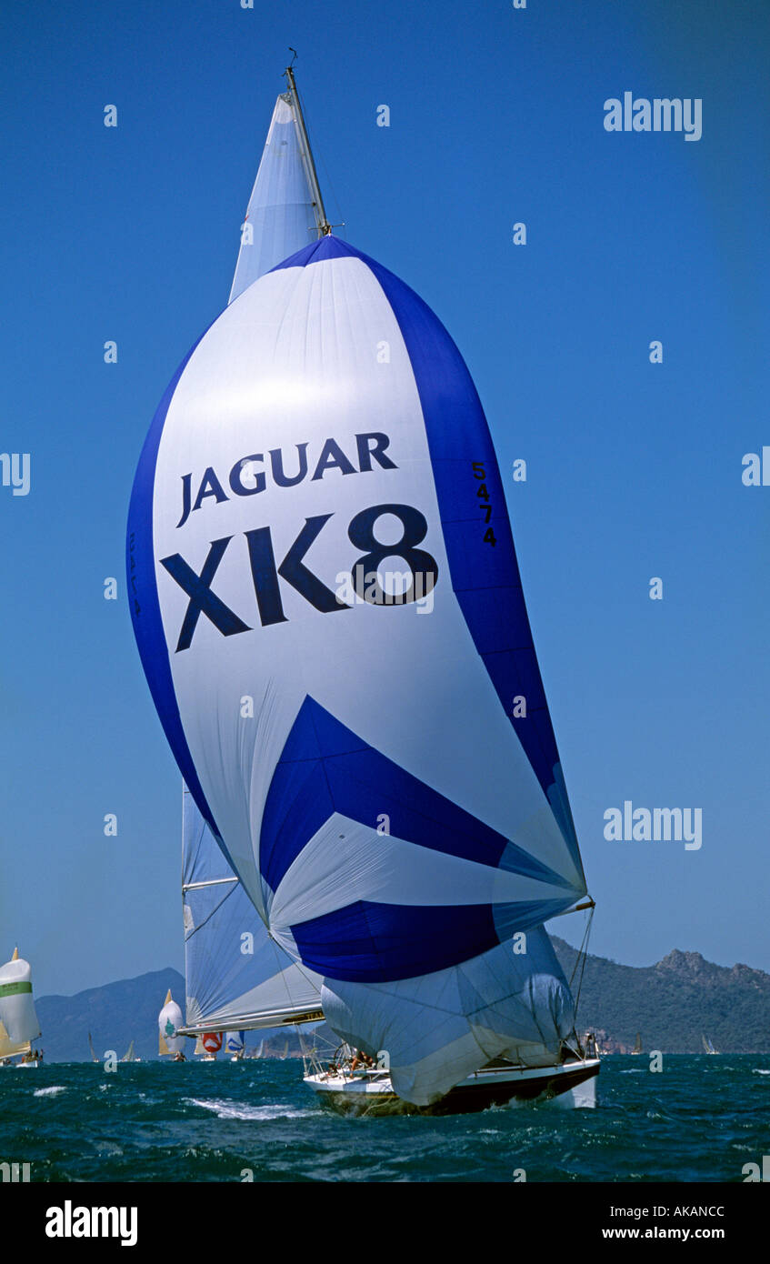 Yacht racing and flying spinnaker during Whitsunday Hamilton Island ...