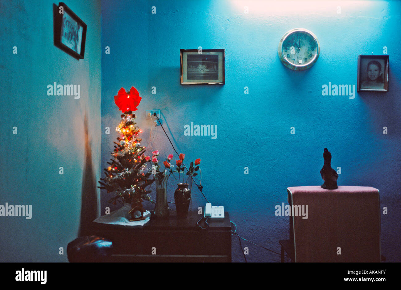 Caribbean christmas lights hi-res stock photography and images - Alamy