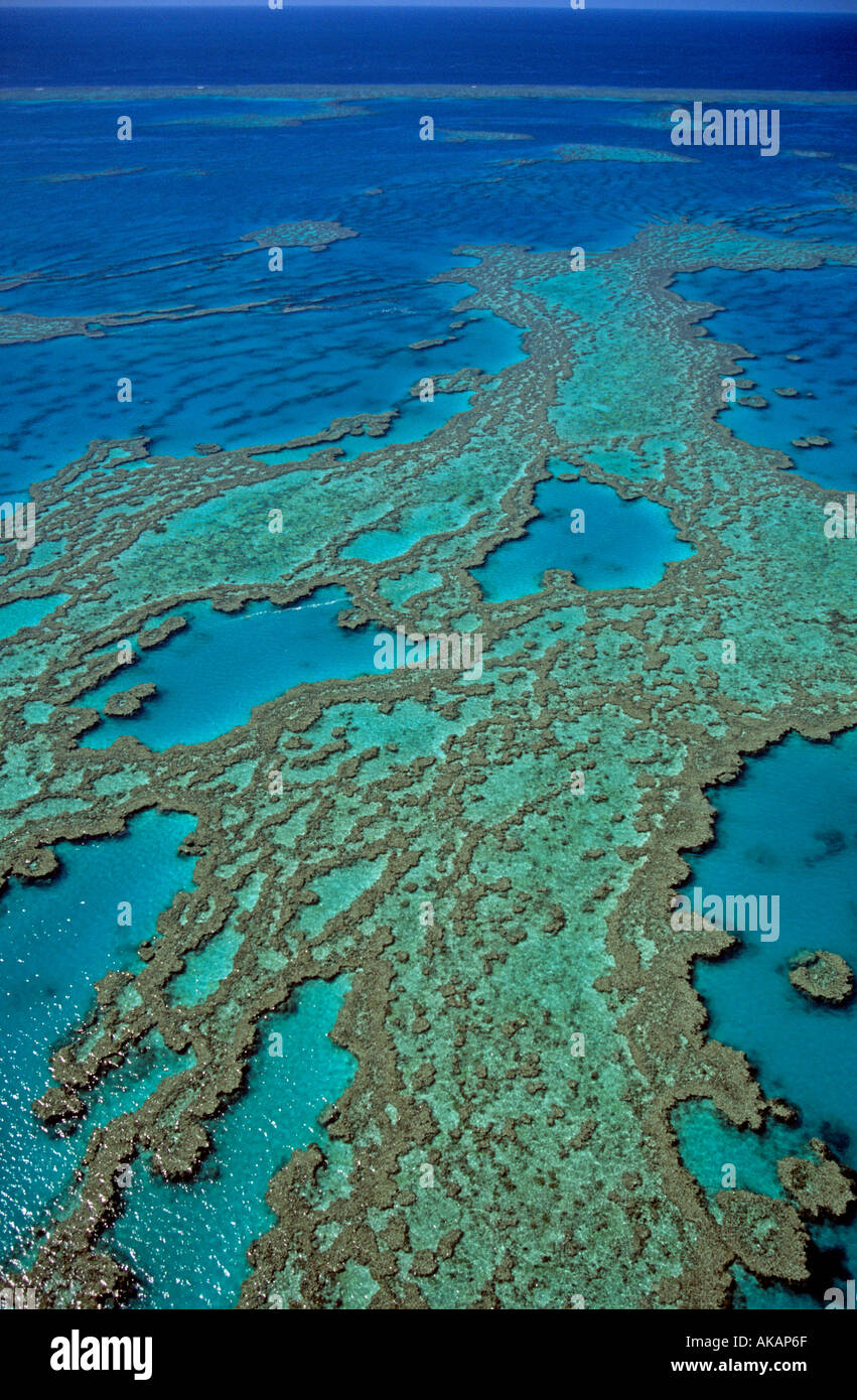 Hardy Reef Great Barrier Reef Australia Stock Photo - Alamy