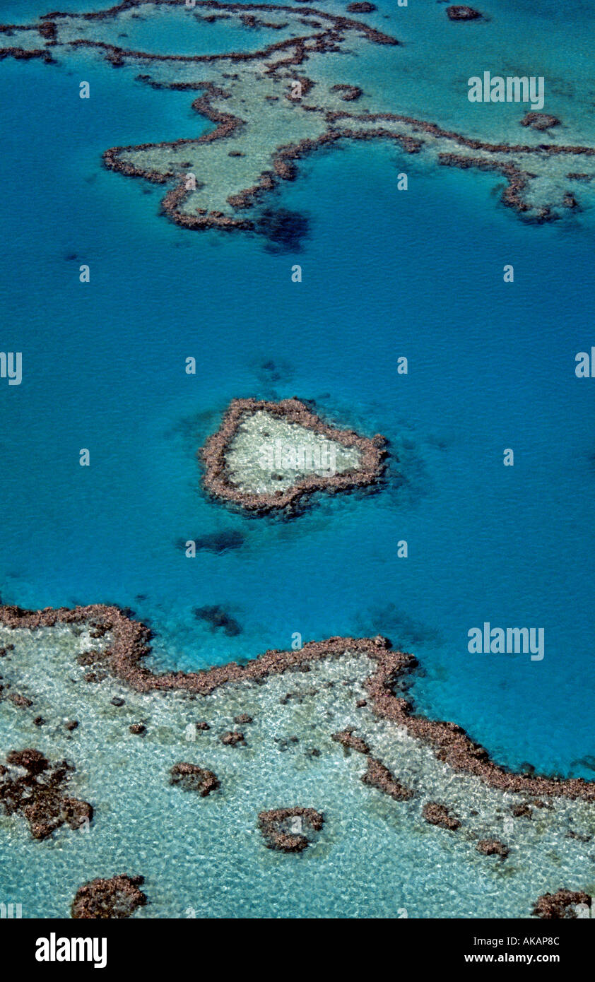 Hardy reef hi-res stock photography and images - Alamy