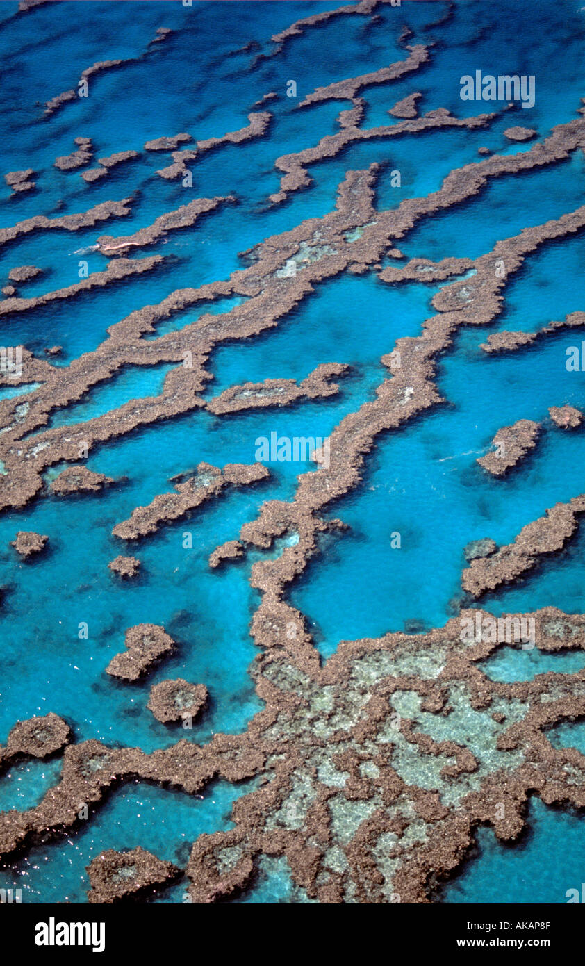 Hardy reef hi-res stock photography and images - Alamy