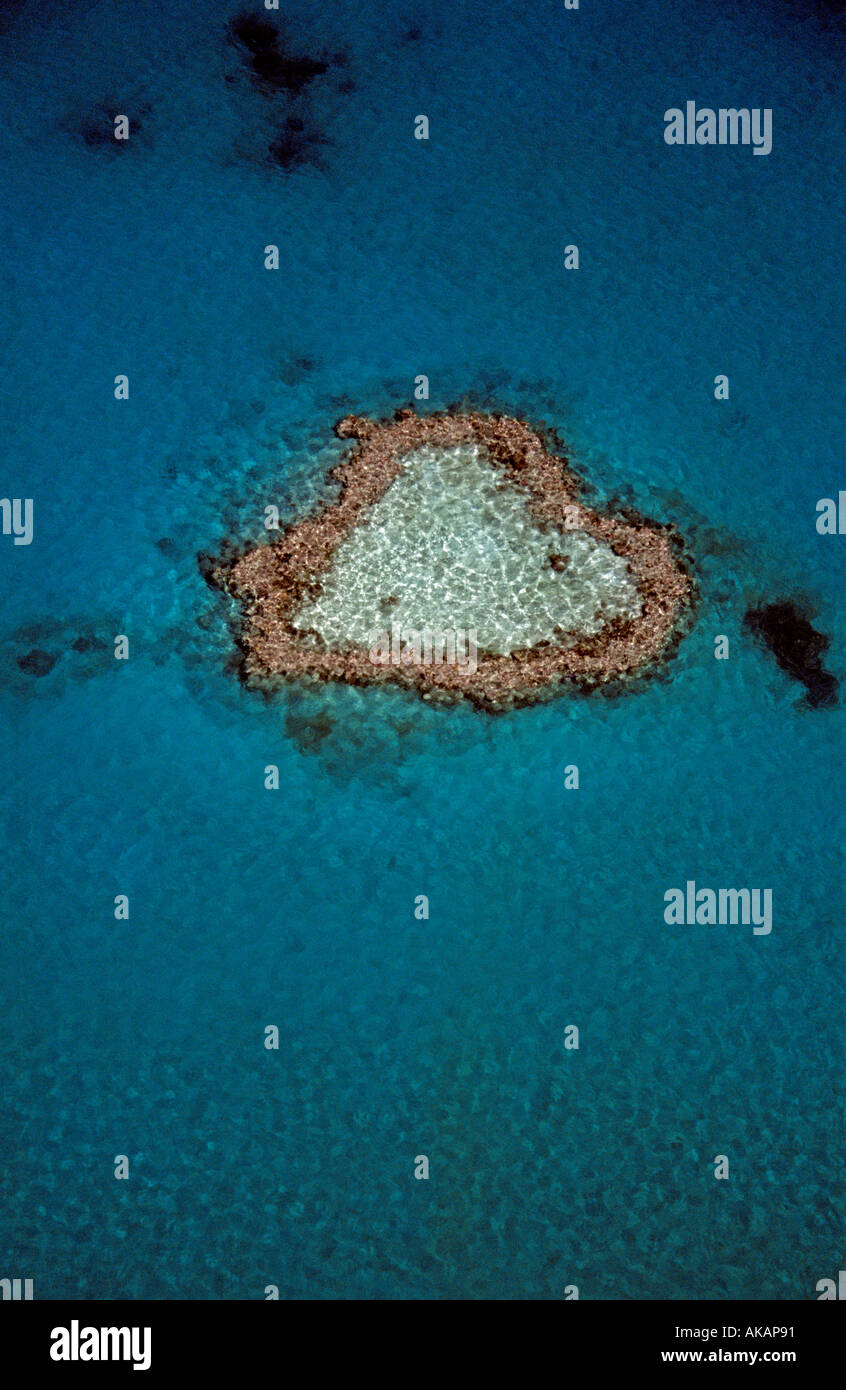 Heart reef Hardy Reef Great Barrier reef Australia Stock Photo - Alamy