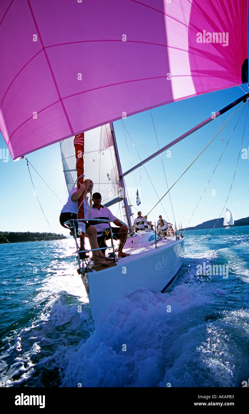 Sydney 38 sailboat flying pink spinnaker Stock Photo - Alamy