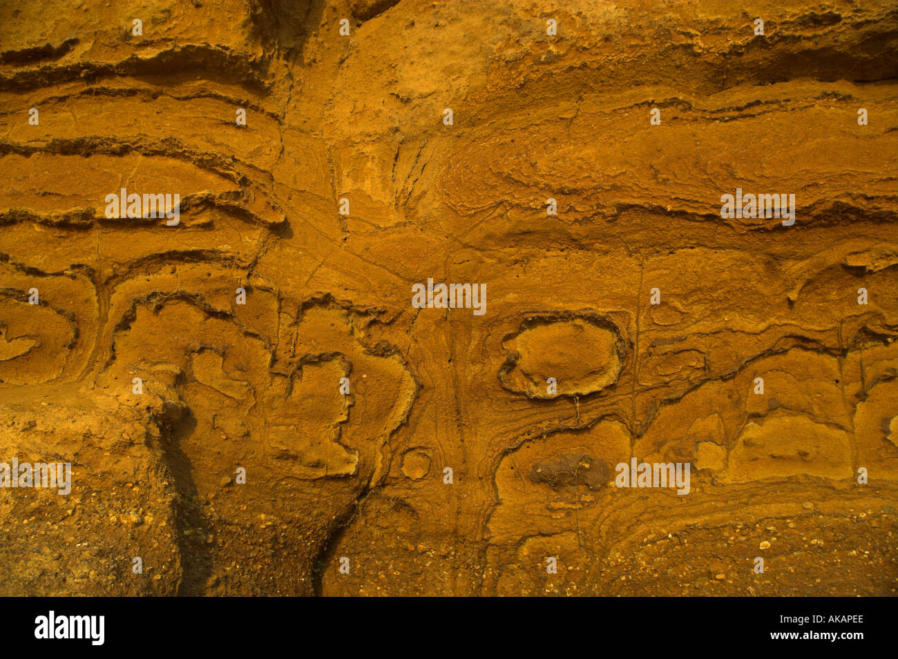 Hunstanton cliffs close up hi-res stock photography and images - Alamy