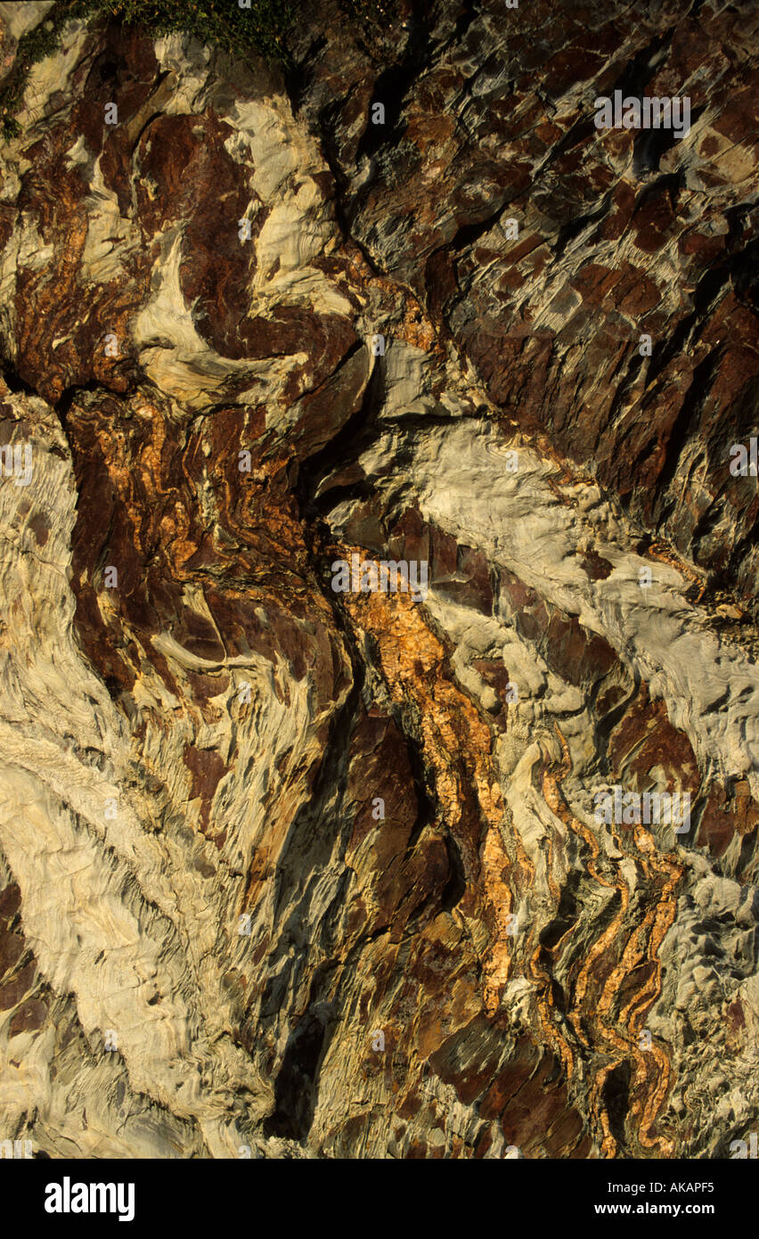 Sea cliffs, North Stack, Holy Island, Anglesey, Wales, UK Stock Photo ...