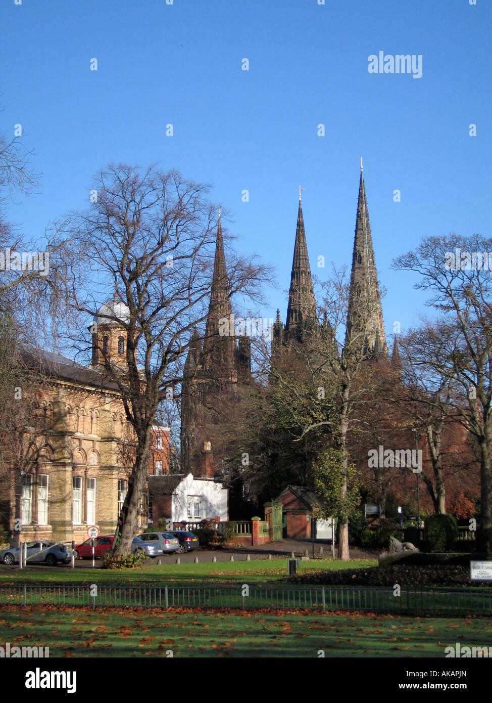 Lichfield Cathedral and the old Free Library building from Beacon Park ...