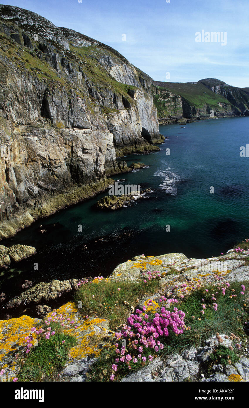 Sea cliffs, North Stack, Holy Island, Anglesey, Wales, UK Stock Photo ...