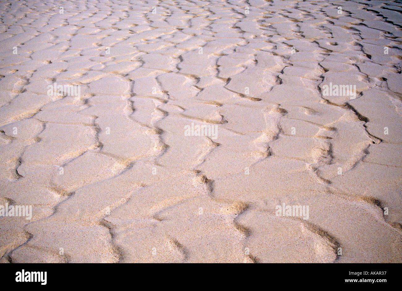 Bahamas sand bar hi-res stock photography and images - Alamy