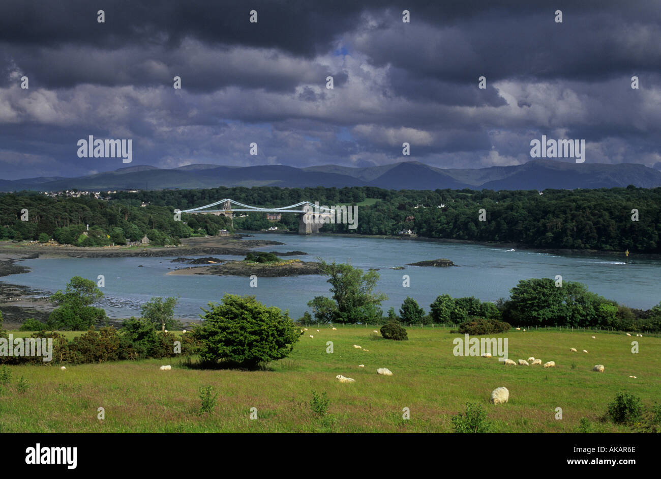 Menai Suspension Bridge, Anglesey, North Wales, UK Stock Photo - Alamy