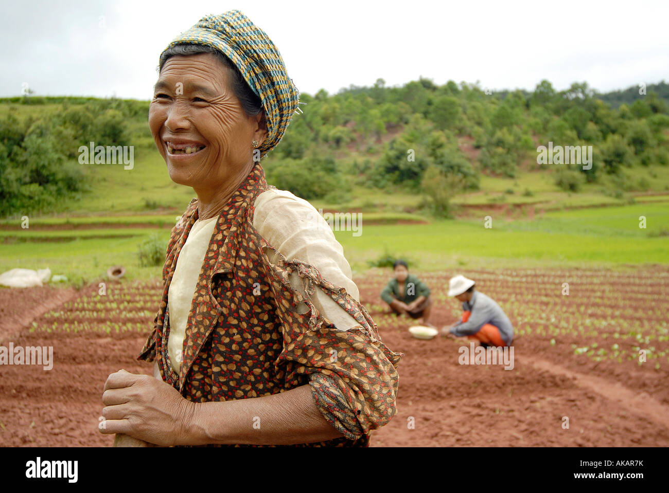 an elderly tribal woman is working on a field Stock Photo - Alamy