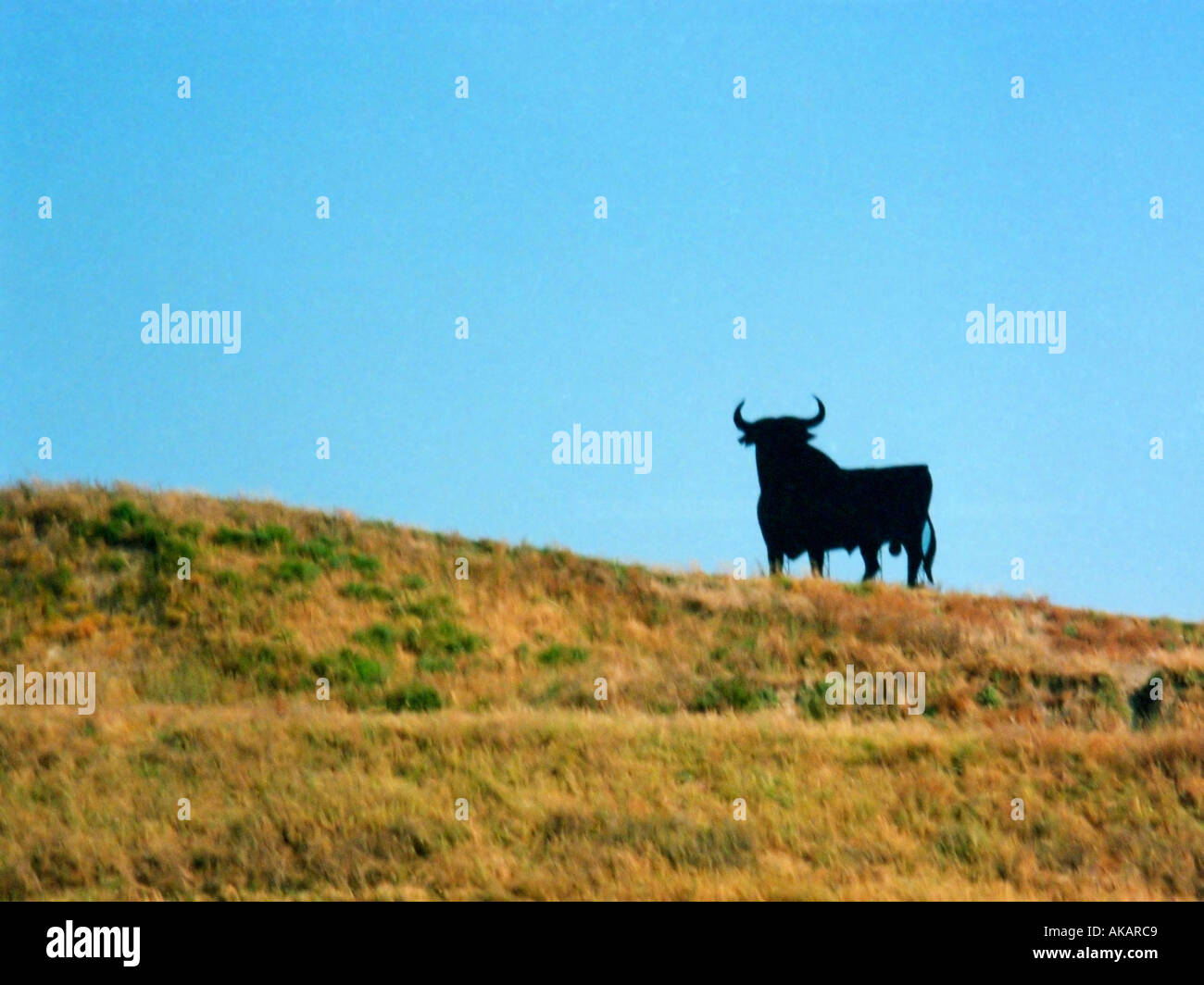 Roadside billboard in the shape of a bull in southern Spain Stock Photo ...