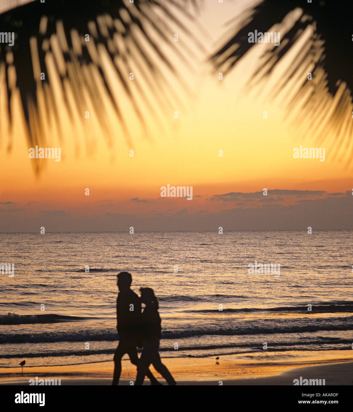 Romantic sunset walk along a palm fringed beach Florida Stock Photo - Alamy
