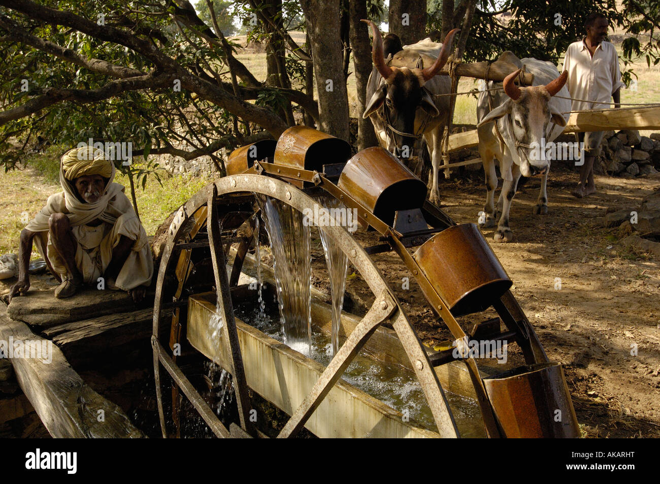 Water Wheel In Kerala