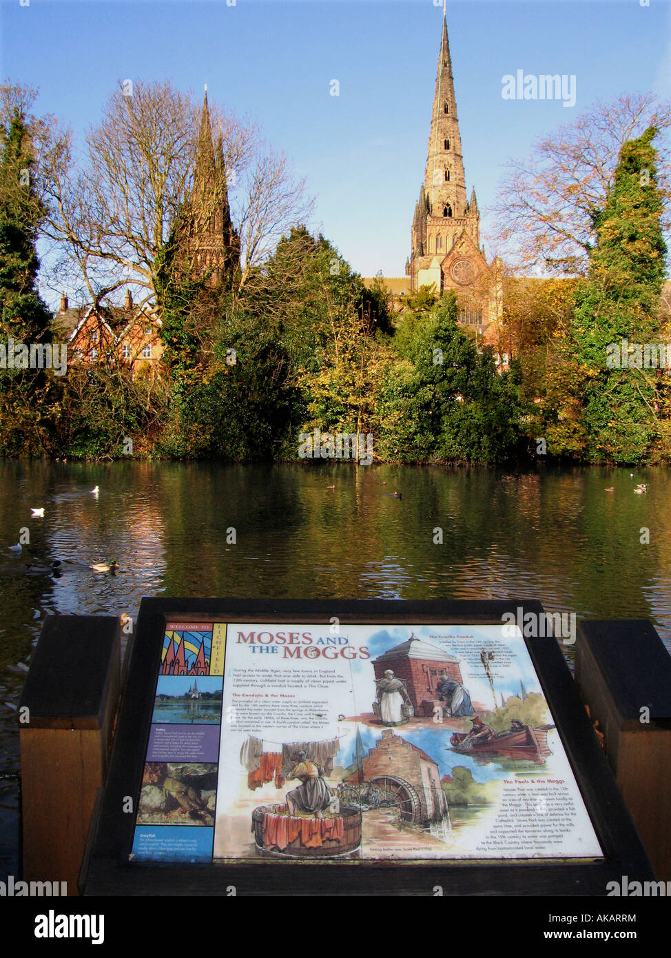 Lichfield Cathedral seen across Minster Pool with reflections Lichfield ...