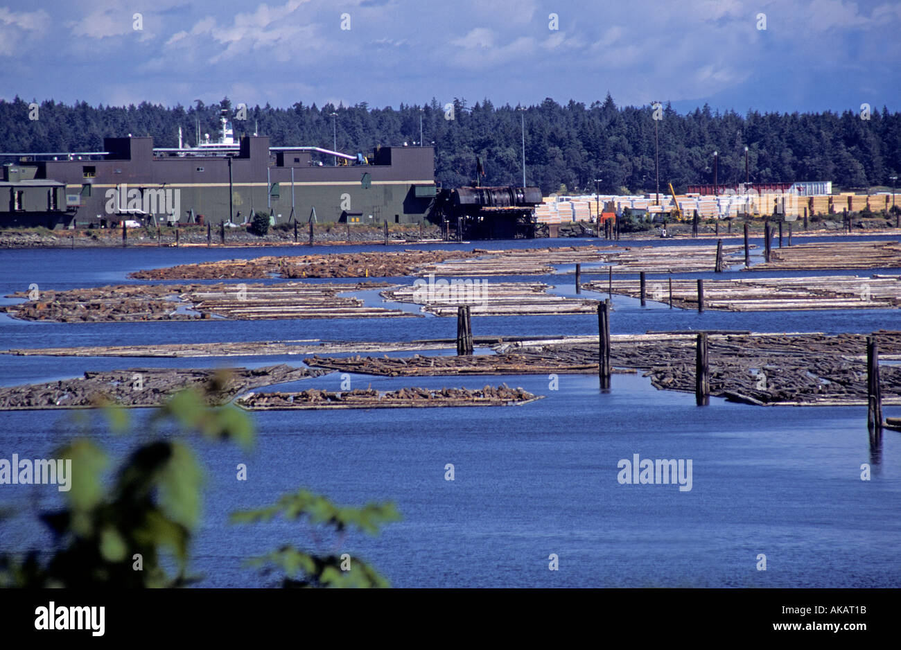 Logging factory hi-res stock photography and images - Alamy