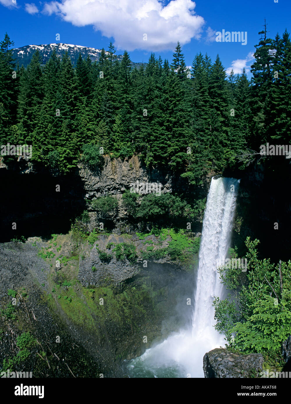 Powerful waterfall in pine forest with snow capped mountain peak in ...