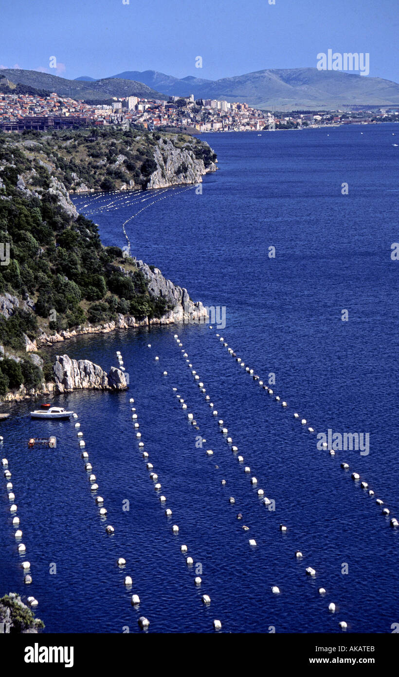 Fish Farm Croatia Mediterranean Europe Stock Photo - Alamy