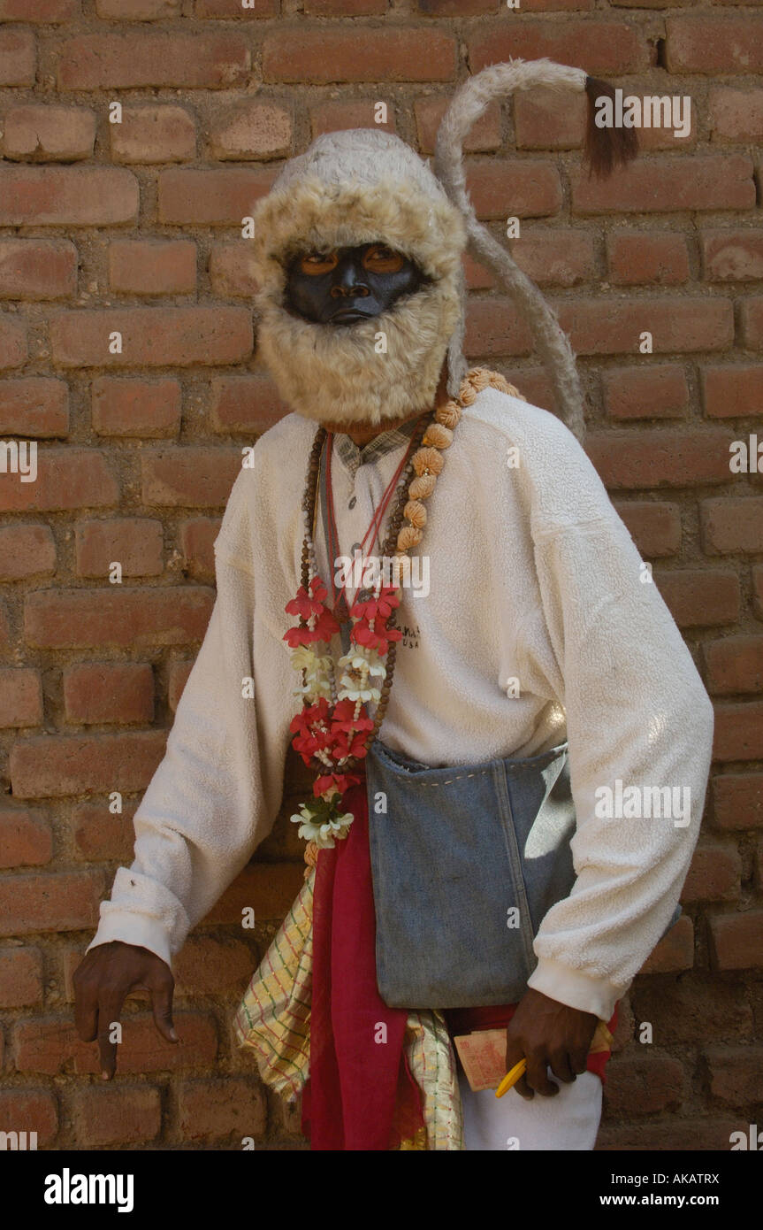 Hanuman monkey God 'Holy man'. near Gir Forest National Park. Gujarat ...