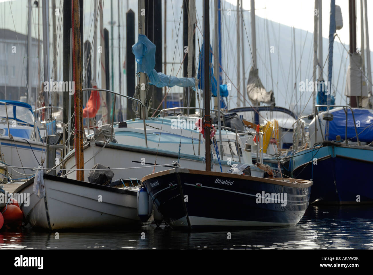 Boats moored at aberystwyth marina hi-res stock photography and images ...
