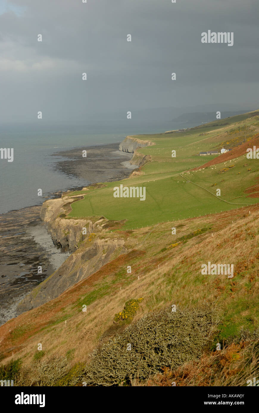 Penderi High Resolution Stock Photography and Images - Alamy