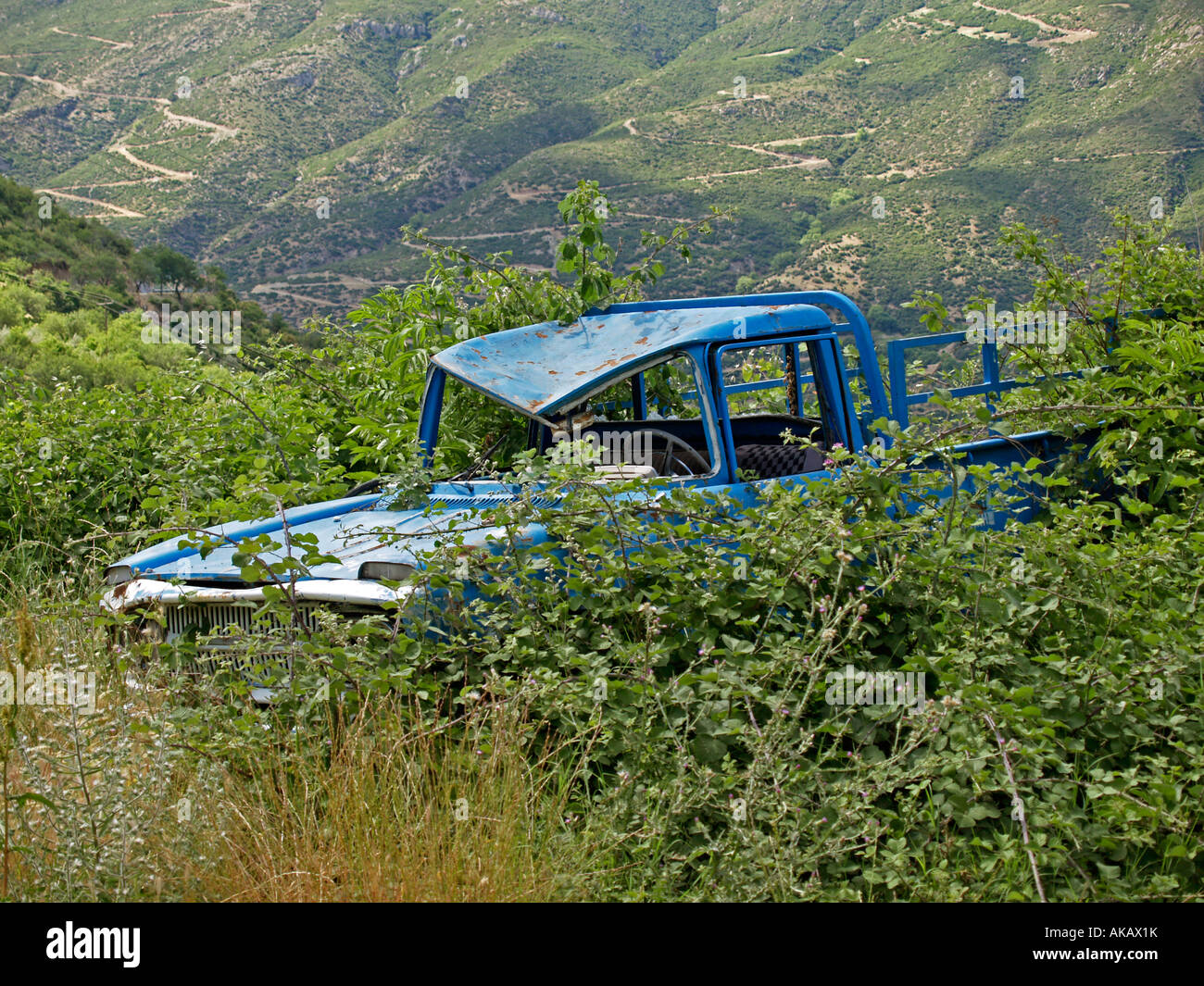 old rusty wrack of a car hidden in bush in the nature Stock Photo - Alamy