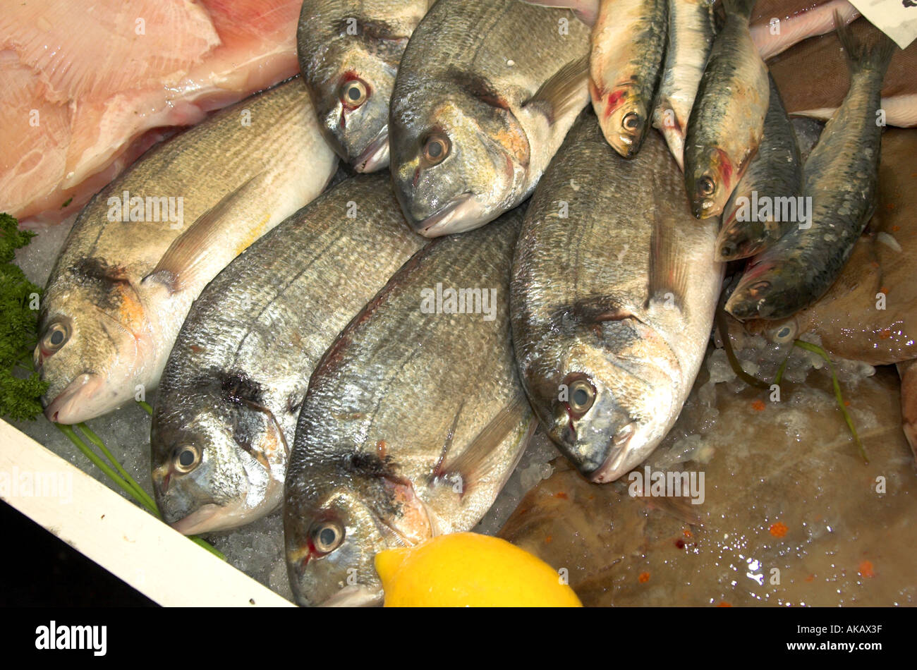 Fish for sale at Mersea Seafood Festival Essex Stock Photo - Alamy