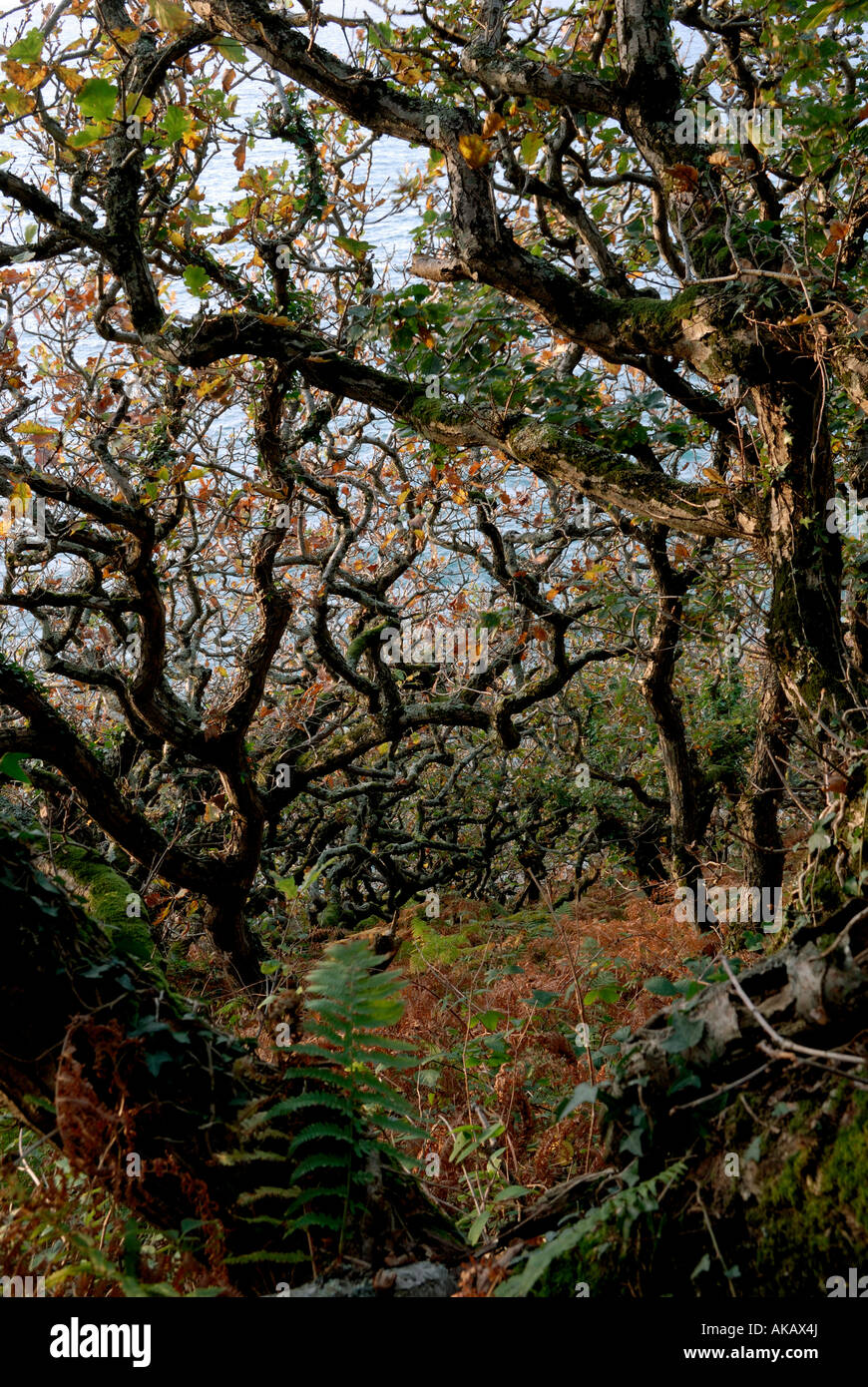 Penderi High Resolution Stock Photography and Images - Alamy