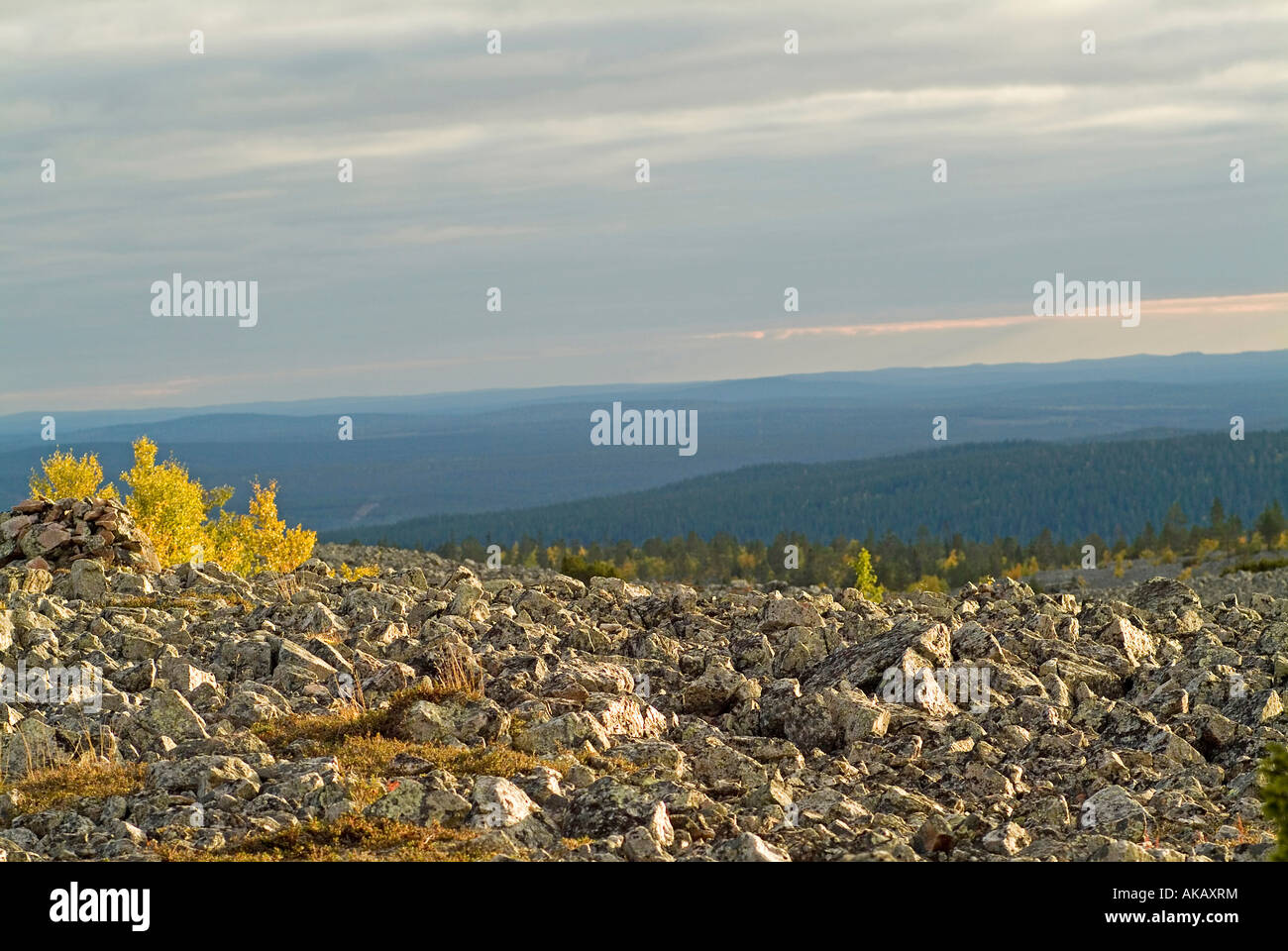 landscape with stony fell mountain in Lapland in Pallas Yllästunturi ...