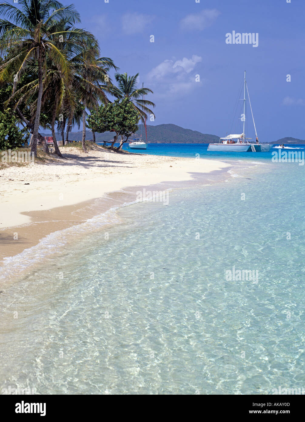 A palm edged white sandy beach and yachts anchored at Petit Rameau St ...