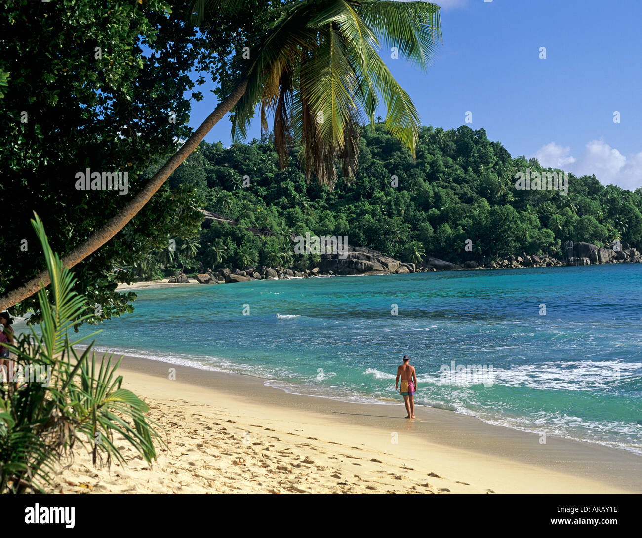 Person walking alone on Idyllic Kama Bay beach and sea view with palm ...