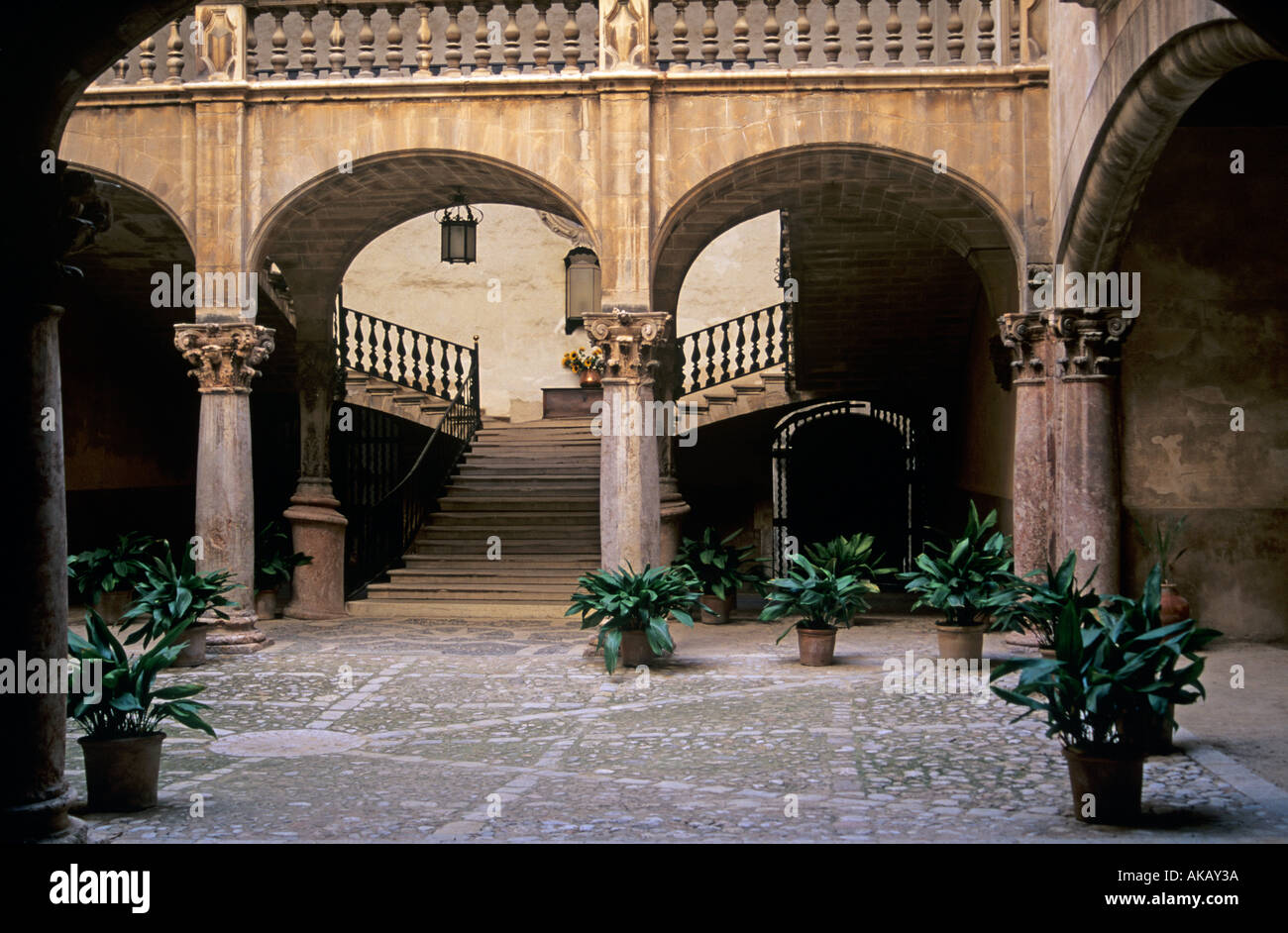 Vivot hi-res stock photography and images - Alamy