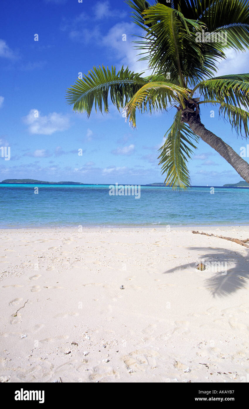 Beautiful scene white sand and colourful sea with palm trees Tonga Nuku ...