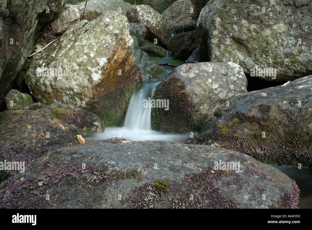 Madison falls trail hi-res stock photography and images - Alamy